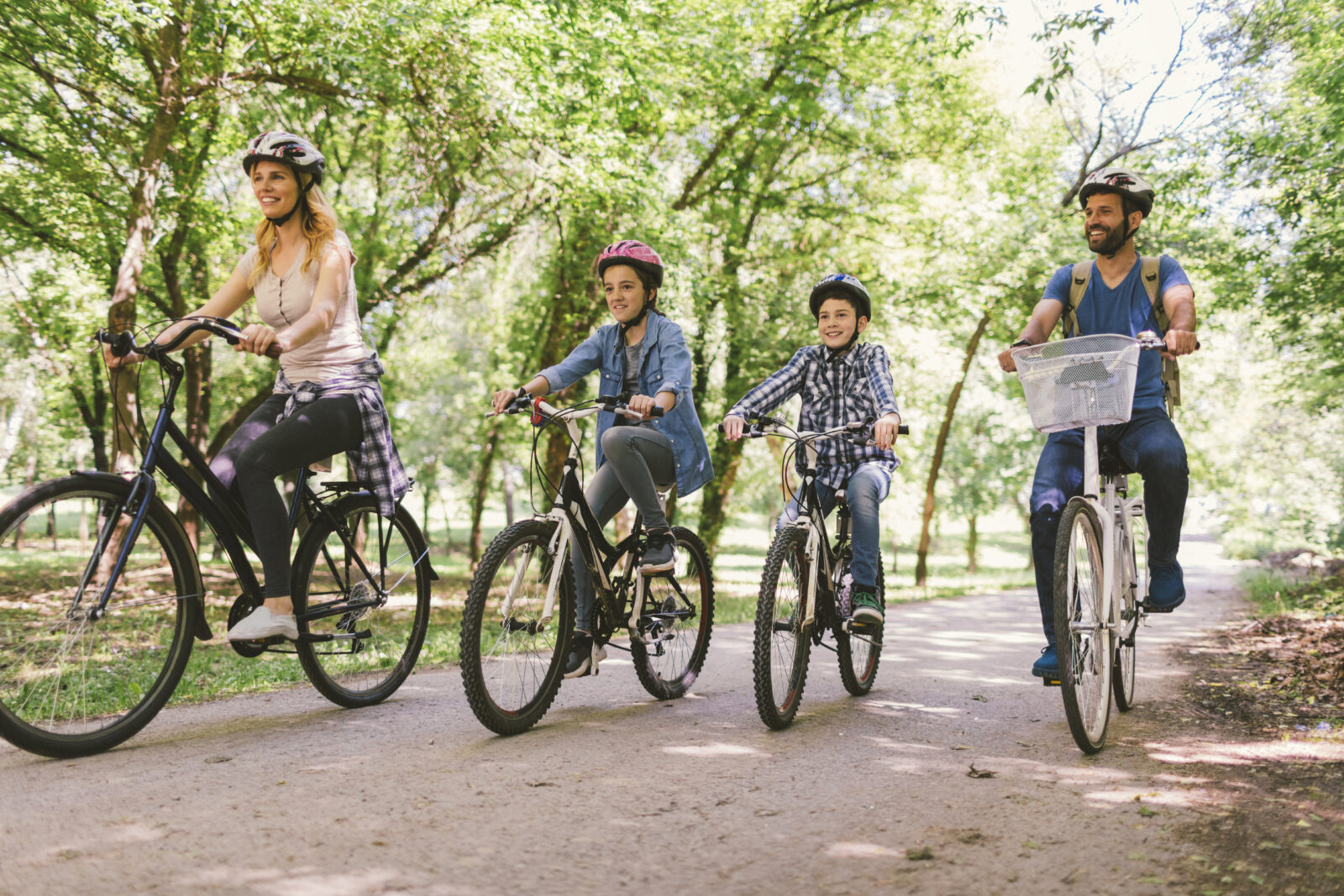 Palm Grove Lakewood Ranch Triumph Floor Plan